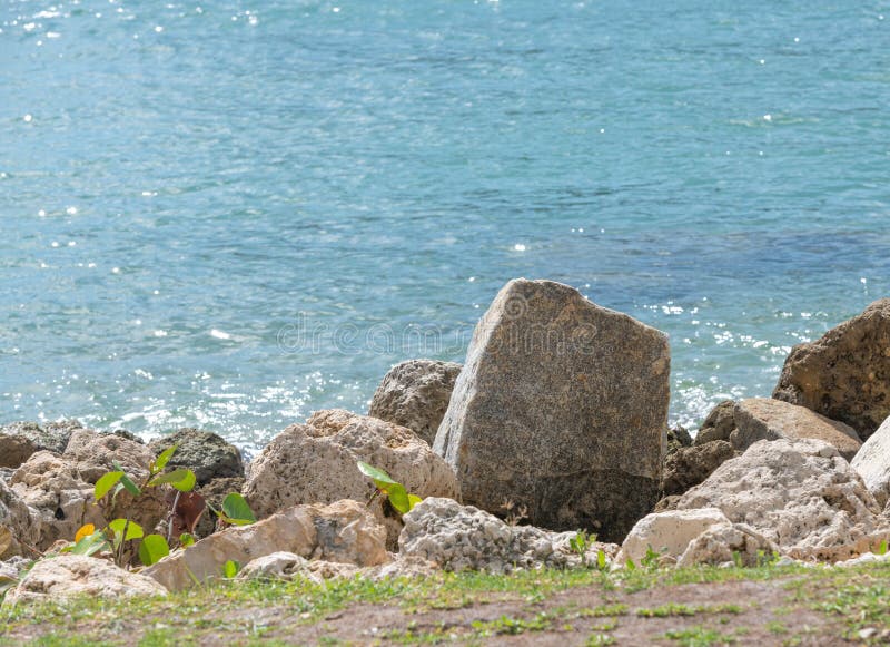Large Rocks in Miami Beach Florida, Blue Ocean Stock Photo - Image of ...