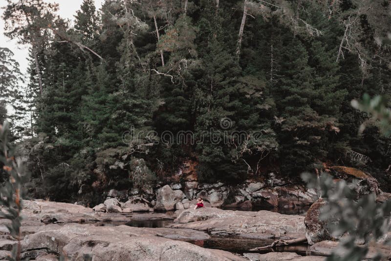 Large Rocks in the River and Forest with Lush Vegetation Stock Image ...