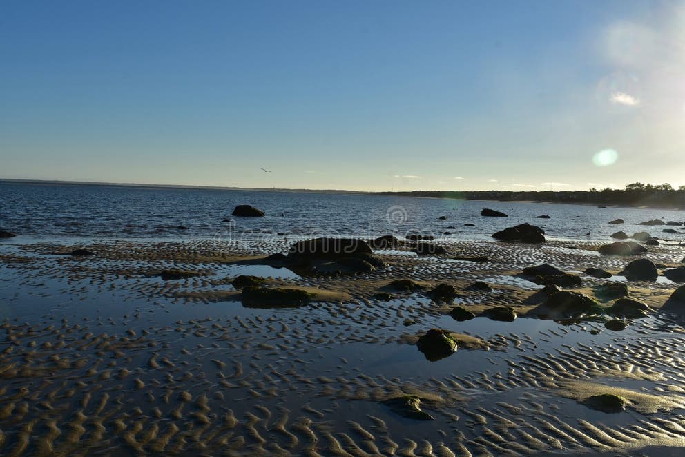 Large Rocks on the Shore in Cape Cod Stock Photo - Image of ...