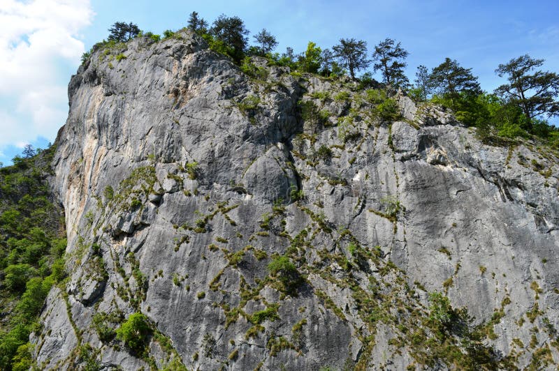 Large Rocks and Trees on Them Stock Photo - Image of green, color ...