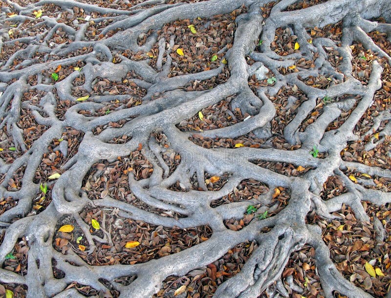 Rust stock photo. Image of metal, decaying, decay, rusty - 9657198