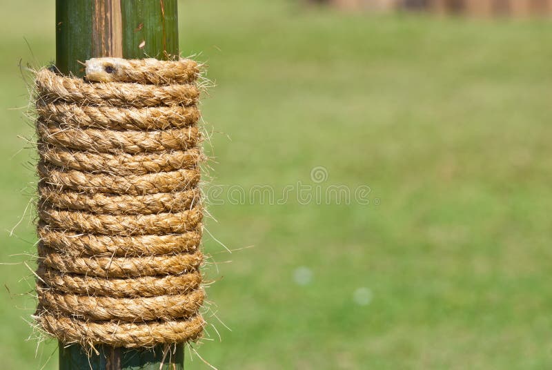 Large Rope on Bamboo Tree with Green Grass Stock Image - Image of ...