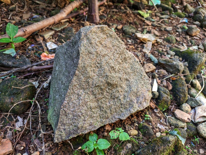 11,003 Forest Large Rocks Stock Photos - Free & Royalty-Free Stock ...