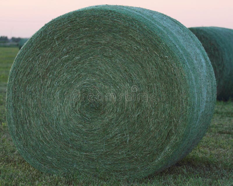Large Round Green Hay Bales at Sunset Stock Photo - Image of pasture ...