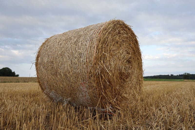 Large, Round Hay Bale Standing in a Dry Field Stock Photo - Image of ...