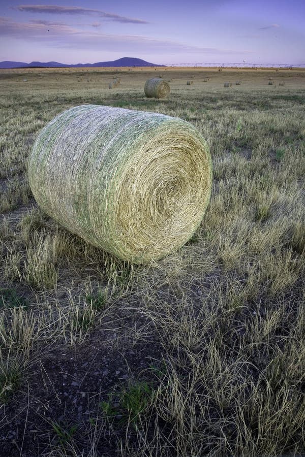Large Round Hay Bundle in a Field. Stock Image - Image of country, crop ...