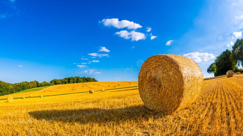 Hay stack in farmland stock image. Image of field, outdoors - 189033455