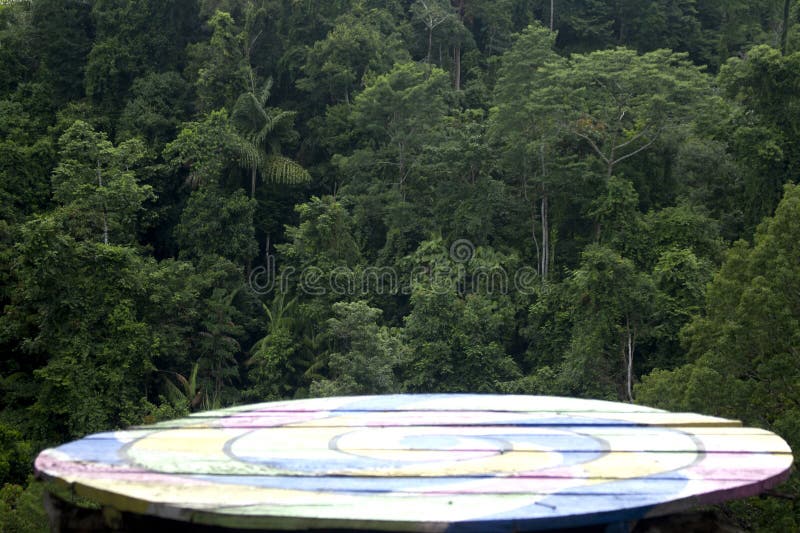 A Large Round Plank on the Edge of a Ravine in the Forest Stock Photo ...
