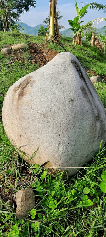 A Large, Round, Silvery Rock in a Banana Plantation Stock Photo - Image ...
