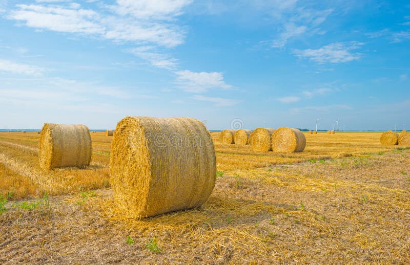 Large Round Straw Bales in a Field Stock Photo - Image of turbine ...