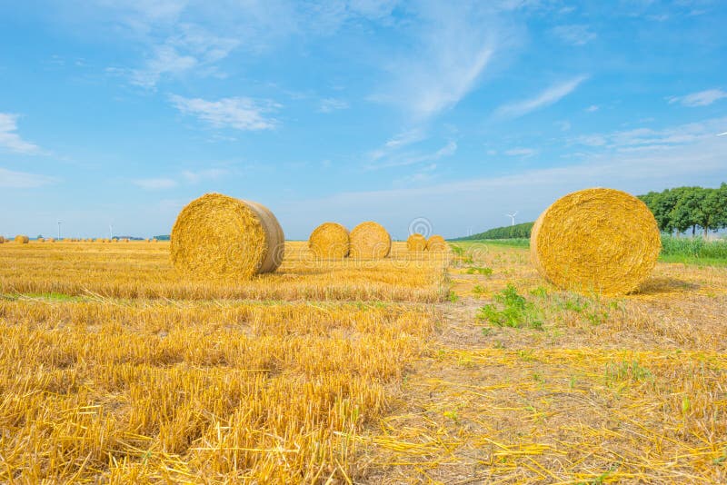 Large Round Straw Bales in a Field Stock Image - Image of horizon ...