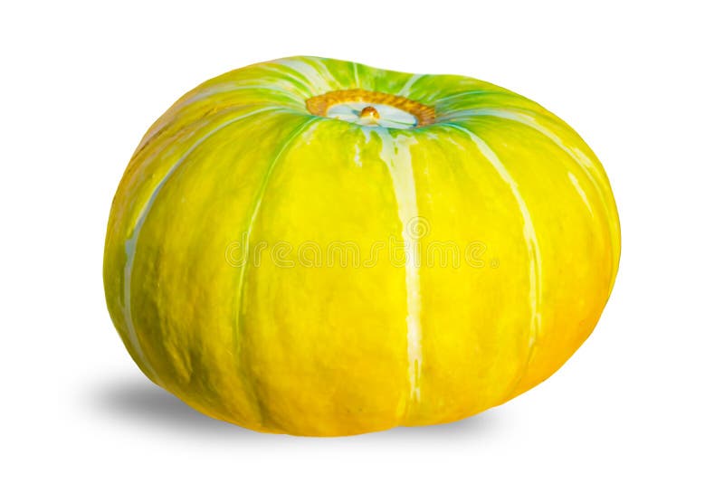 Large Round Yellow Pumpkin, Vegetable Garden, Stock Photo - Image of ...