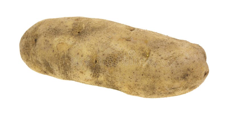 Couch Potato stock photo. Image of vegetable, leather - 1560194