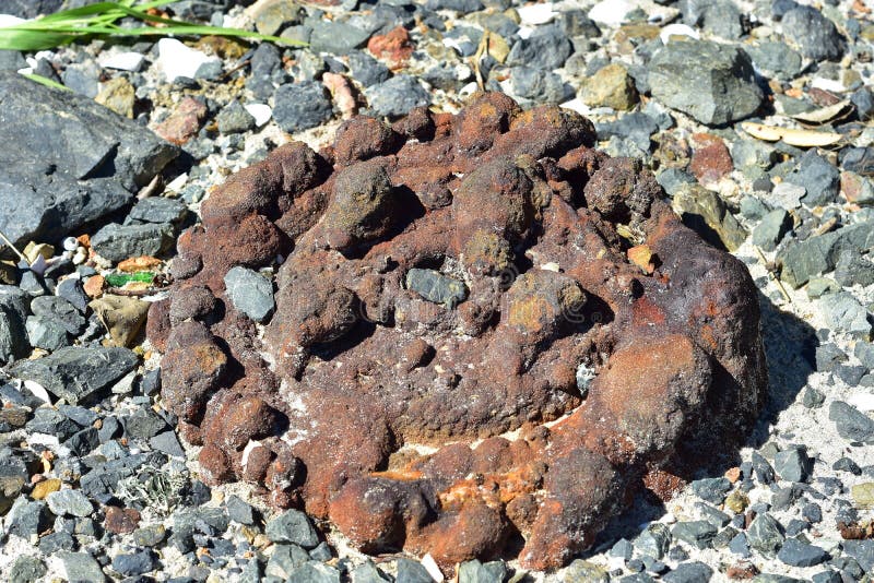 Large Rusted Iron Cog Wheel Stock Photo - Image of iron, blob: 202760162