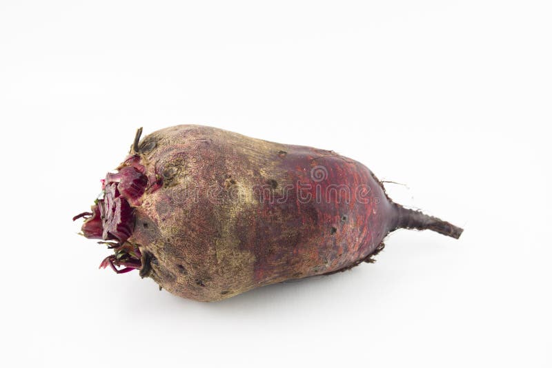 Large Rustic Beets on a White Background Stock Image - Image of beets ...