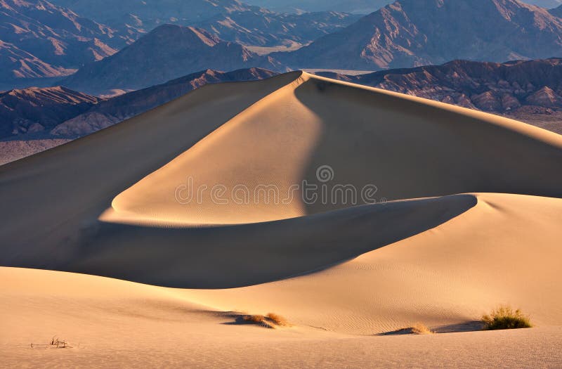 Large Sand Dune Ridge stock photo. Image of horizontal - 23432750