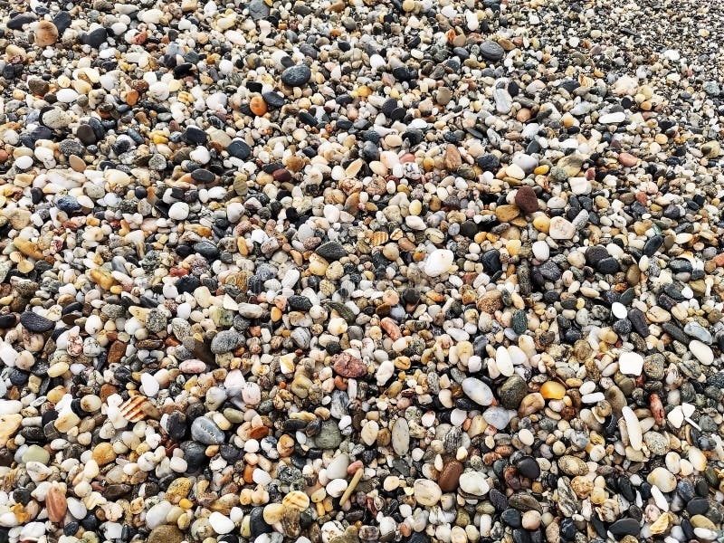 Large Sea Sand in the Intertidal Zone Stock Photo - Image of texture ...
