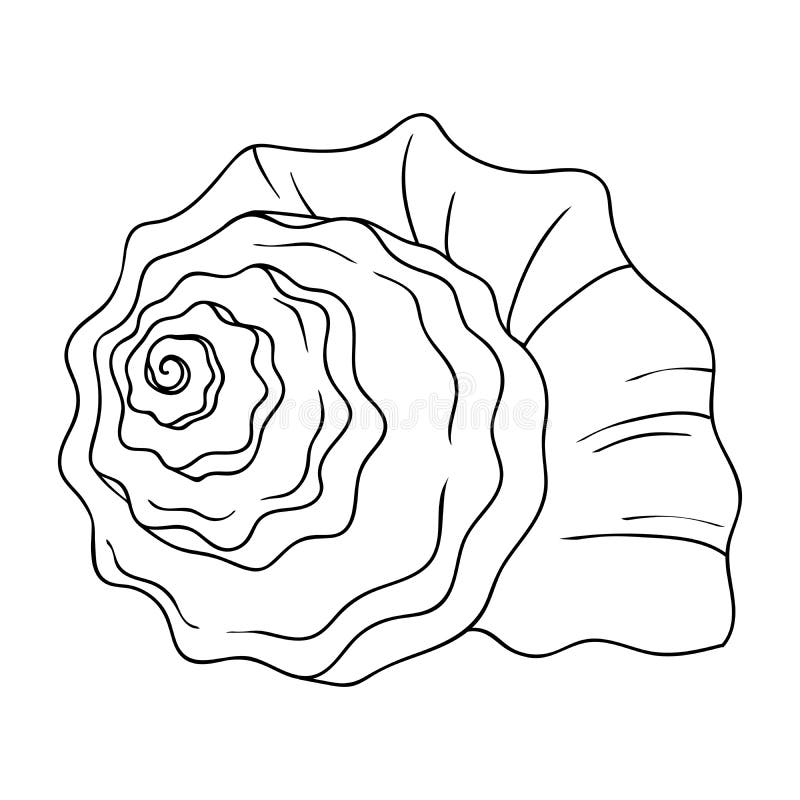 Large Sea Shell Linear Simple Icon. Shell As a Symbol of Harmony ...