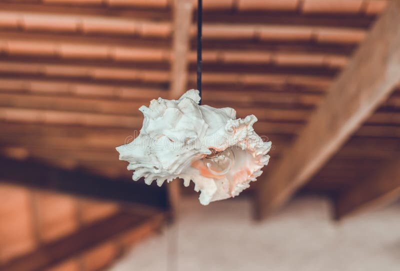 Large Seashell Ceiling Light Stock Photo - Image of festive, interior ...