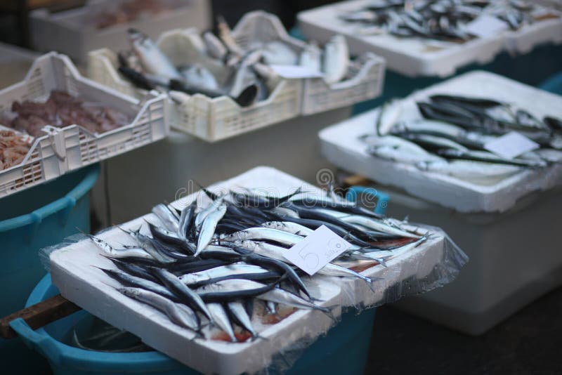 Large selection of seafood stock image. Image of blurred - 96412329