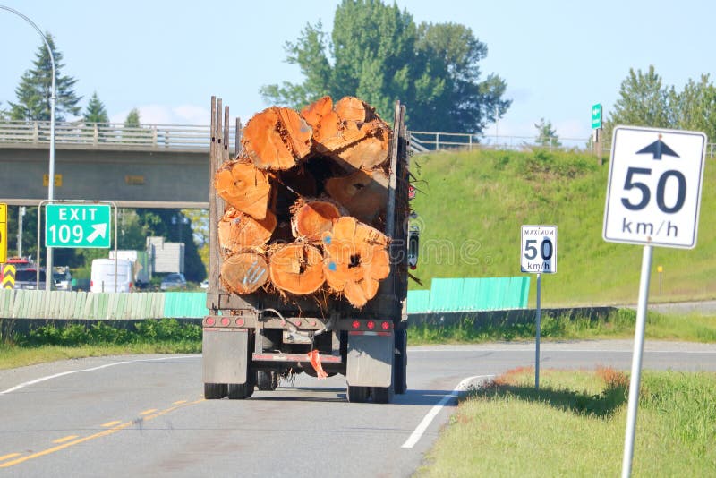 Old Growth Tree Delivery for Processing Stock Image - Image of logs ...