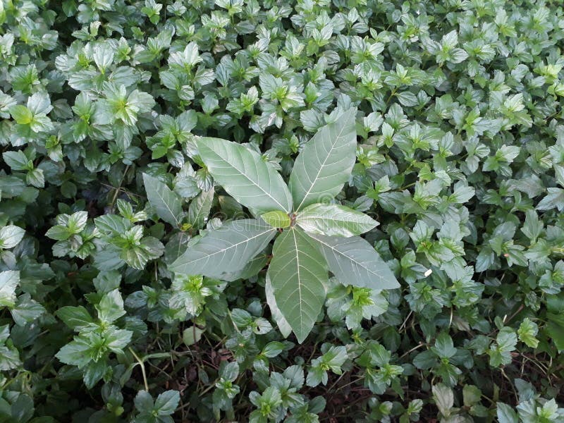 Youtube Desktop Wallpaper 4k Stock Photos - Free & Royalty-Free Stock ...