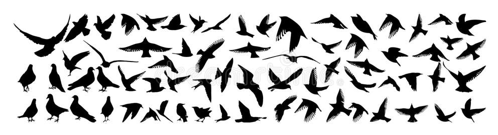 A Large Set of Flying and Standing Birds. Vector Illustration Stock ...