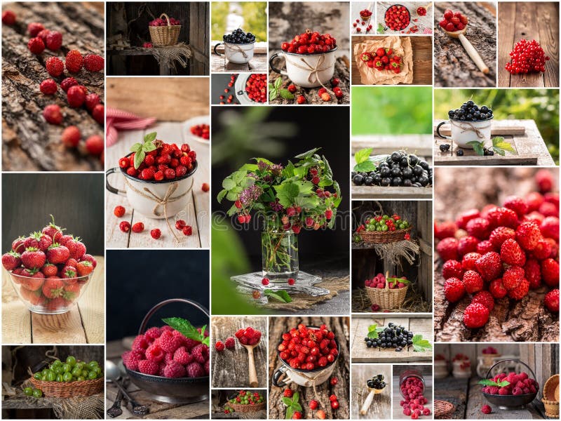 Large Set of Fresh Berries. Collection of Berries Stock Image - Image ...