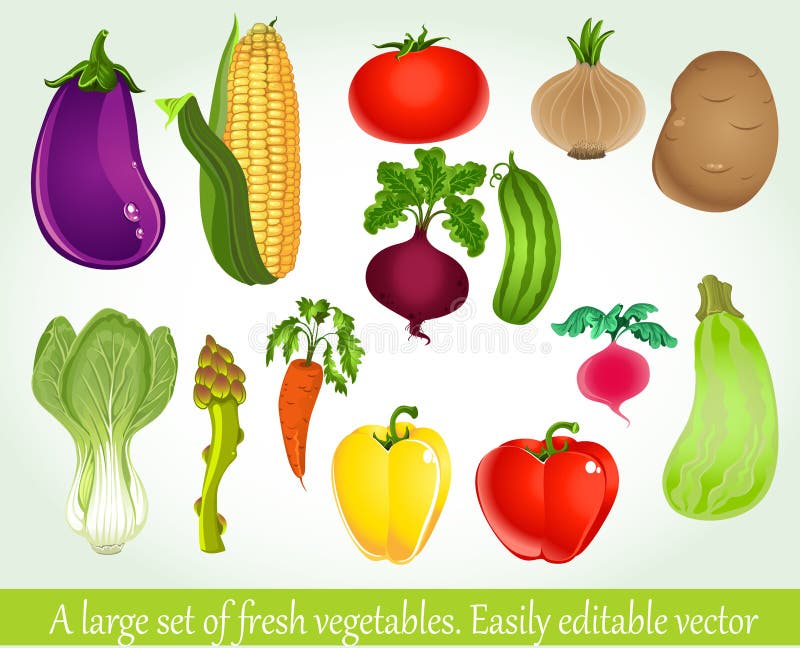 Fresh Vegetables, Flat Cartoon Vector Illustration Isolated on White ...