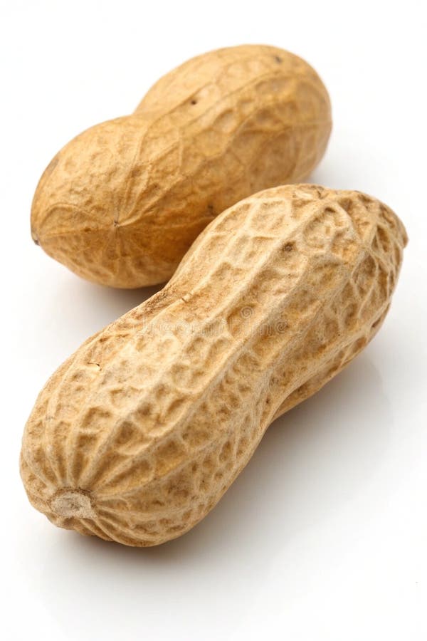 Large Set of Groundnuts, Shelled and the Shell, Isolated on White Stock ...