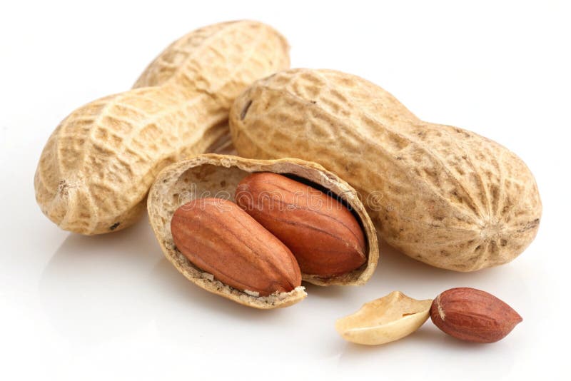 Large Set of Groundnuts, Shelled and the Shell, Isolated on White Stock ...