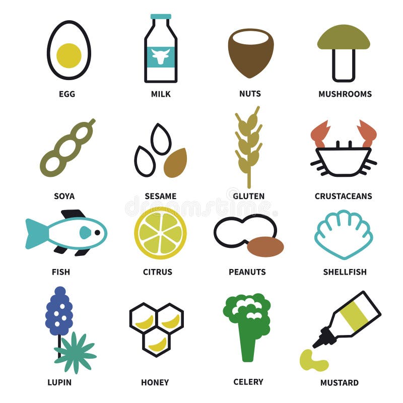 Large Set of Icons with the Main Allergens in Food Stock Vector ...