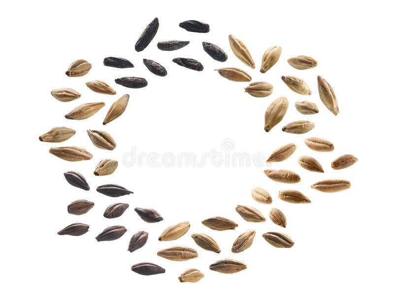 Large Set of Malt on a White Background Stock Photo - Image of white ...