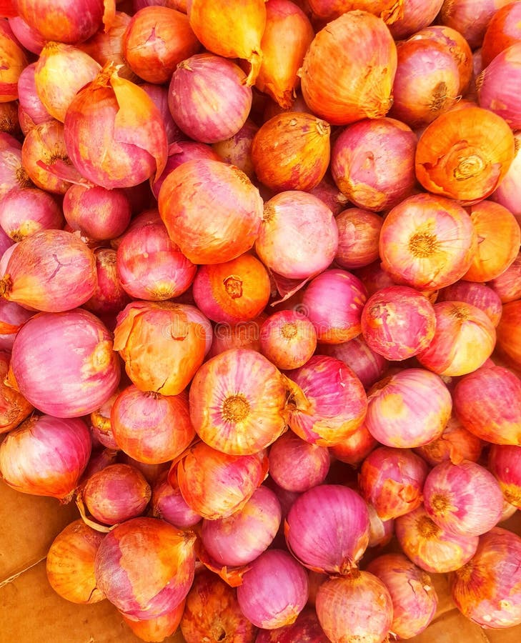 Large Shallots Sold in the Local Market Stock Image - Image of ...