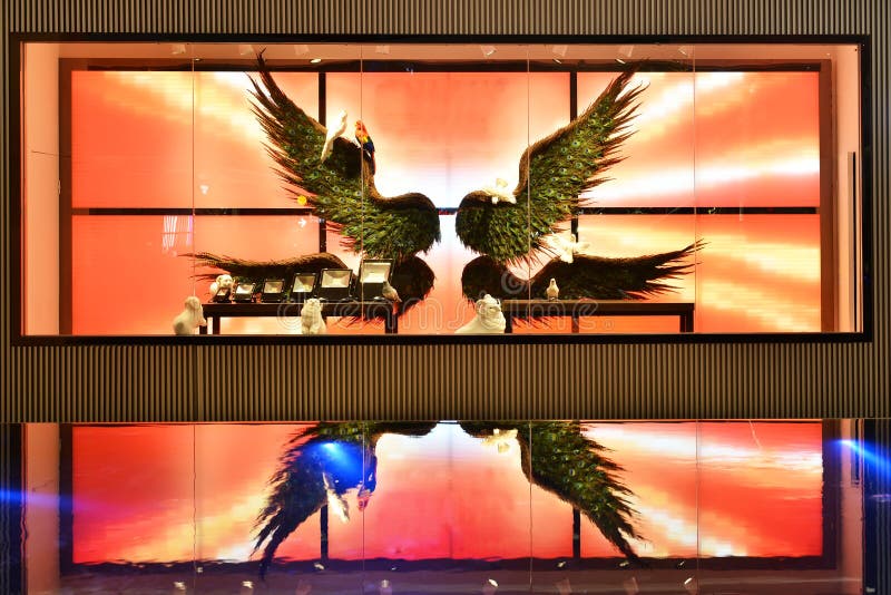 553 Lit Shop Window Display Stock Photos - Free & Royalty-Free Stock ...