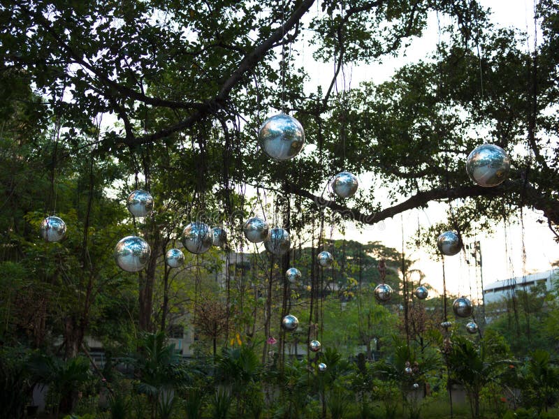 Large Silver Balls Hanging from the Branches Stock Photo - Image of ...