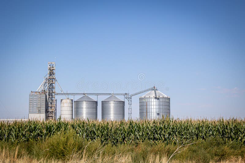 Large Silver Grain Processing Silos at a Farm Stock Photo - Image of ...