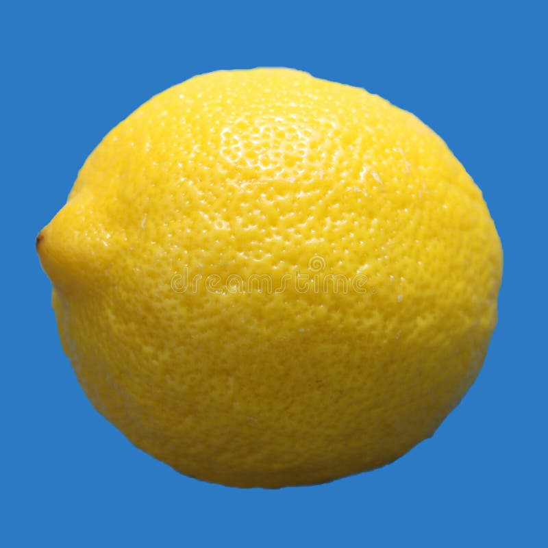 Large Single Lemon stock image. Image of healthy, sour - 9329781