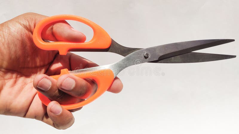 Large Size Scissors in Hand Stock Photo - Image of organ, selective ...