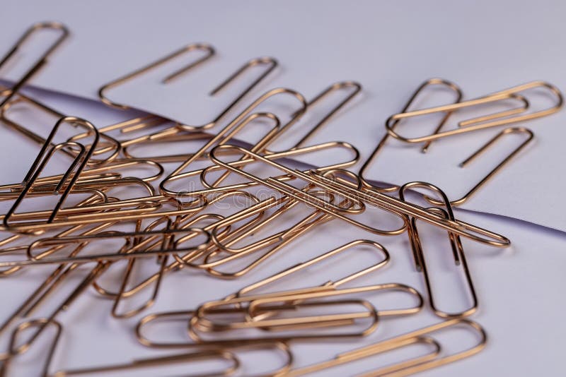 Large-sized Copper Paper Clips Lie on White Blank Paper Stock Photo ...