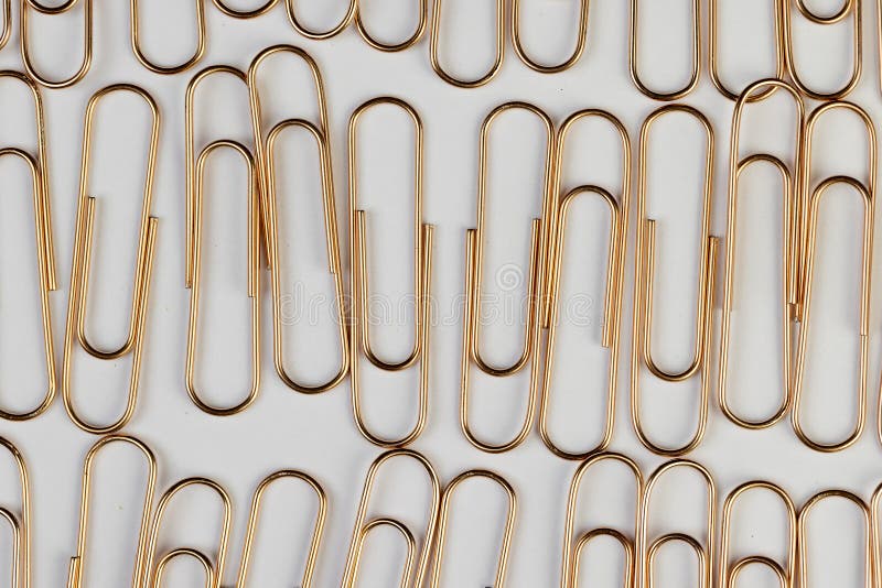 Large Sized Copper Paper Clips Lie on White Blank Paper Stock Image ...