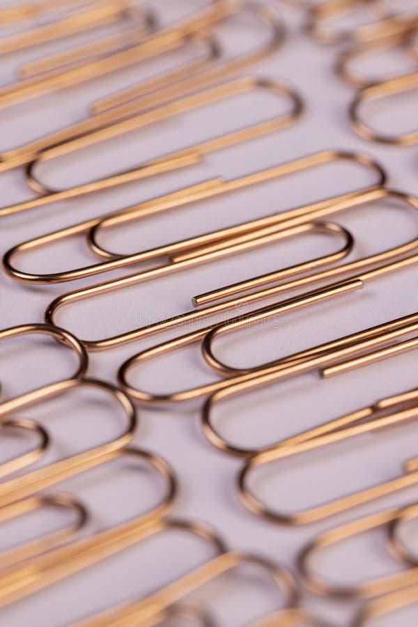 Large Sized Copper Paper Clips Lie on White Blank Paper Stock Photo ...