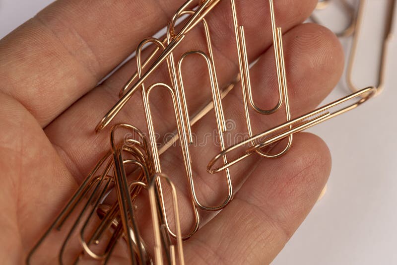 Large-sized Copper Paper Clips Lie on White Blank Paper Stock Photo ...