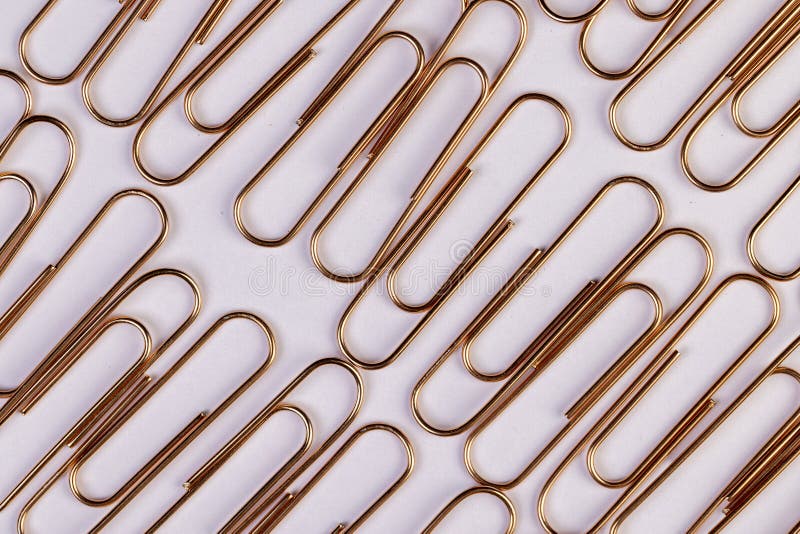 Large Sized Copper Paper Clips Lie on White Blank Paper Stock Photo ...