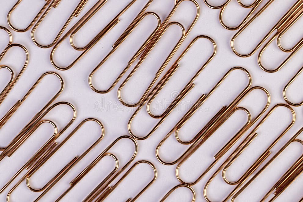 Large Sized Copper Paper Clips Lie on White Blank Paper Stock Photo ...
