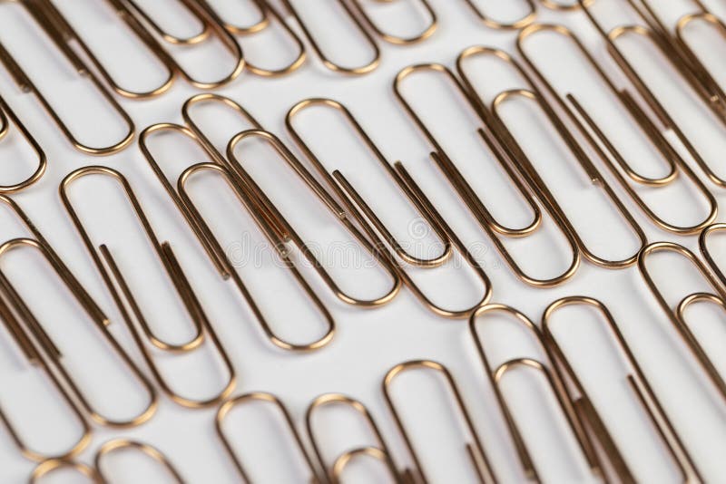 Large Sized Copper Paper Clips Lie on White Blank Paper Stock Photo ...