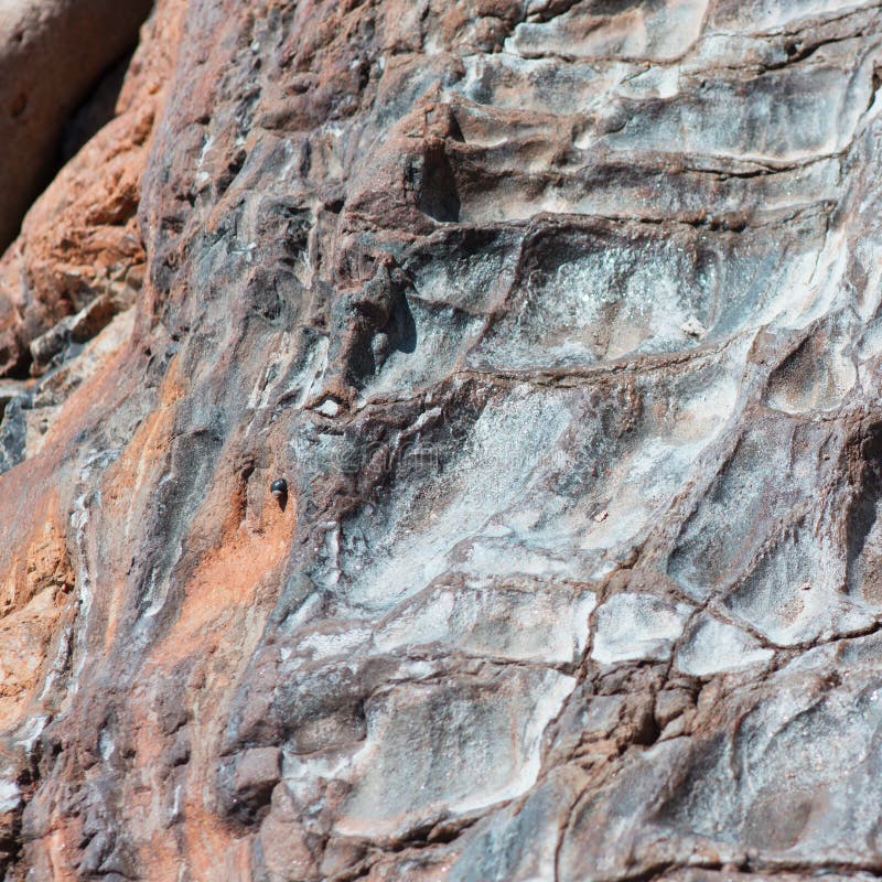 Close Up of a Large Weathered Rock on the Beach Shore Stock Photo ...