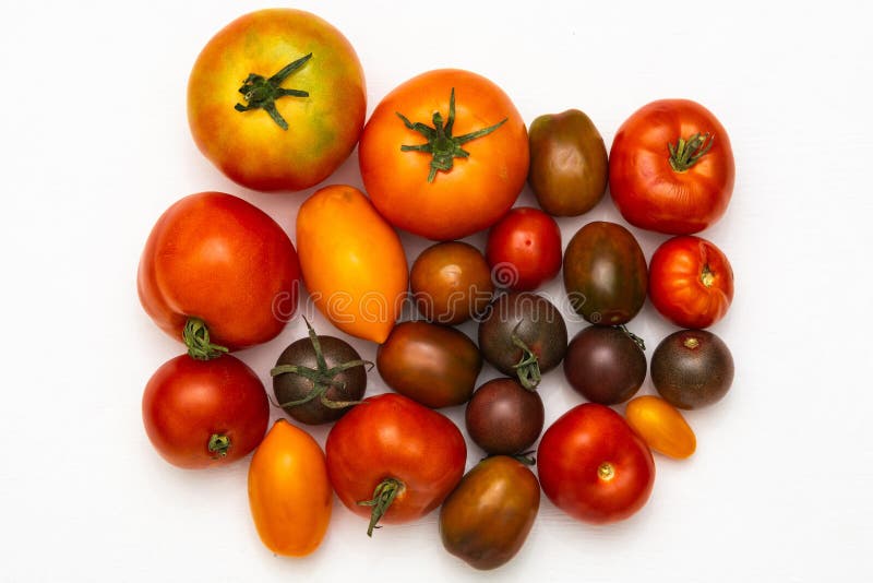 Large and Small Tomatoes of Various Shapes, Colors and Varieties. Flat ...
