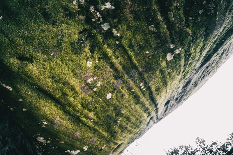 Large and Smooth Green Stone with Moss Stock Image - Image of close ...