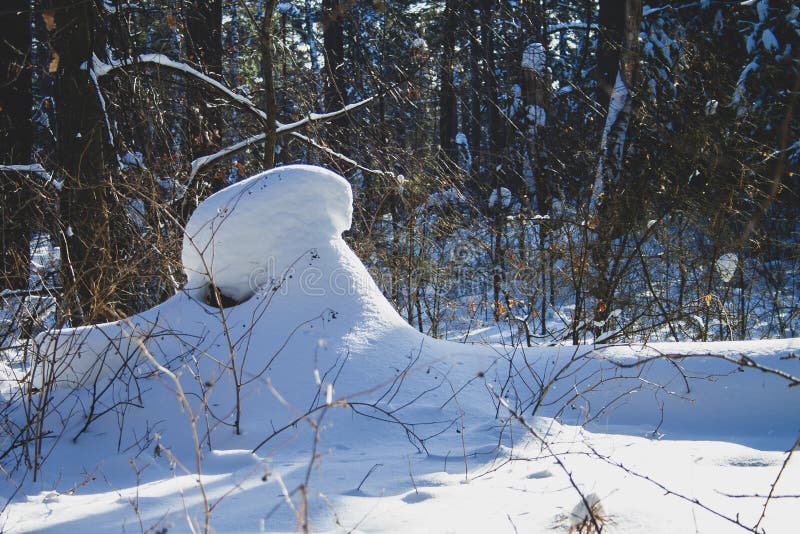 Large Snowdrift on a Fallen Tree Stock Image - Image of covered, scene ...